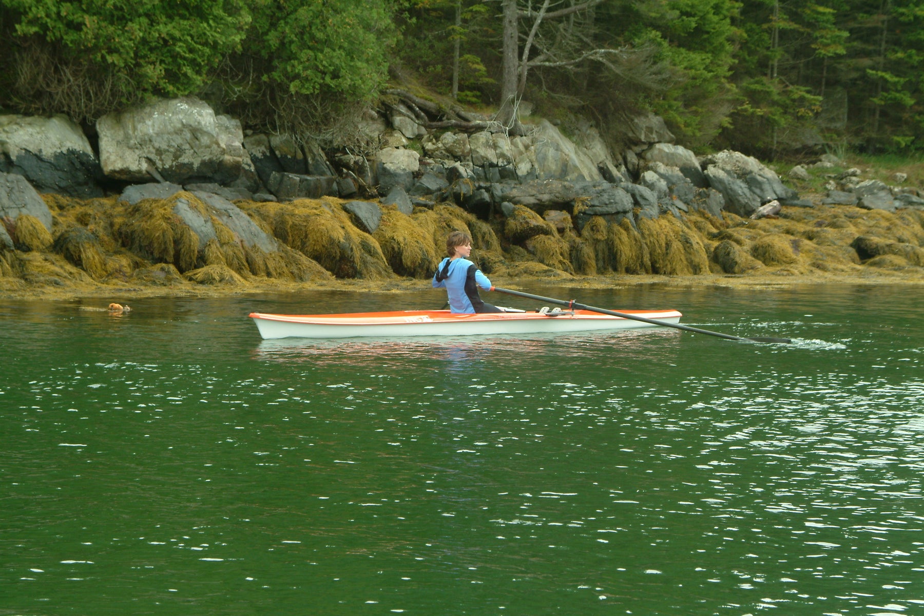 Echo Classic – Echo Rowing